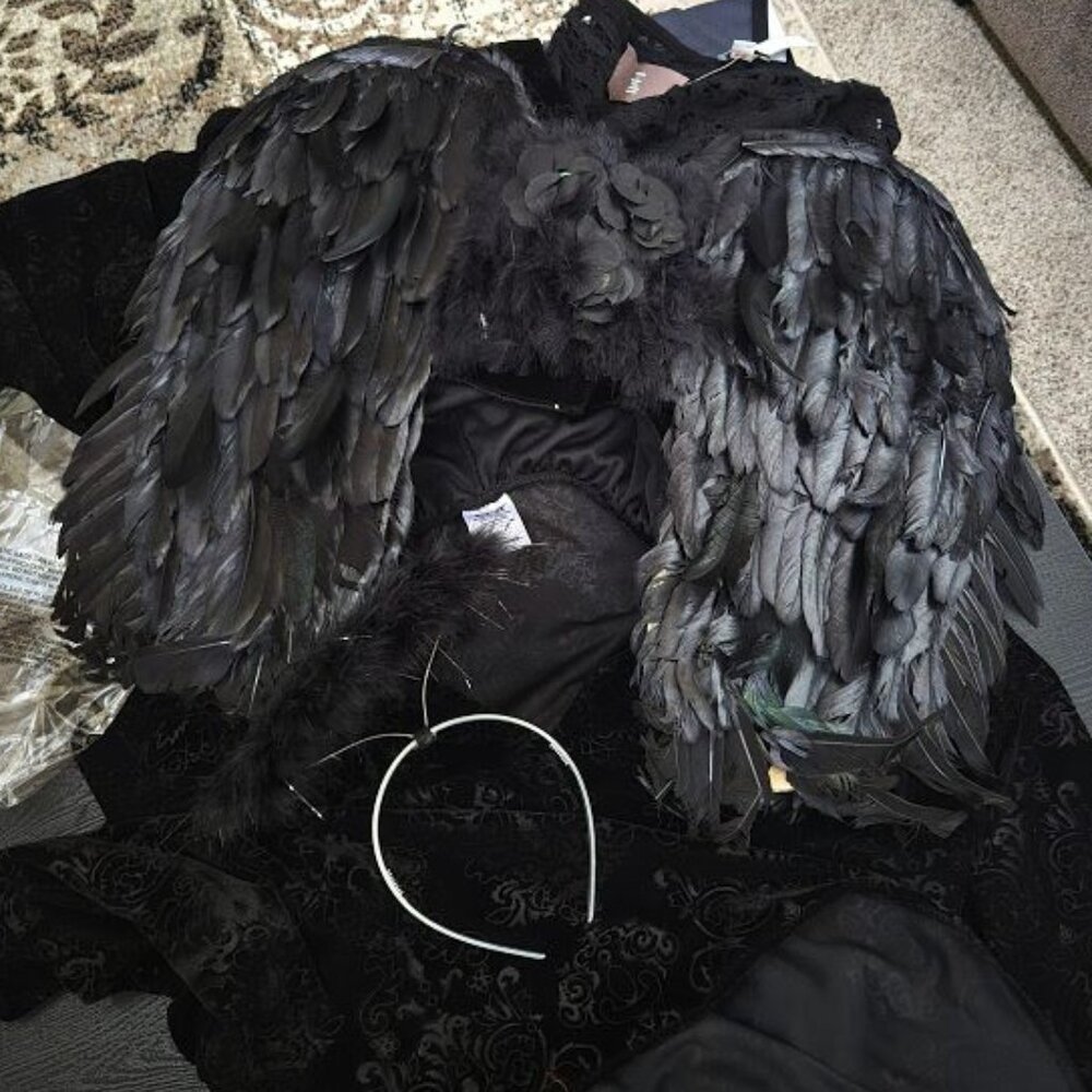 Spirit Halloween Dark / Fallen Angel Costume Velvet C… - Gem